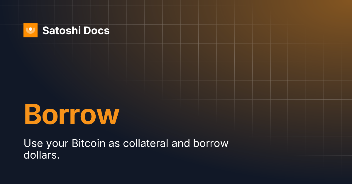Borrow | Satoshi Docs